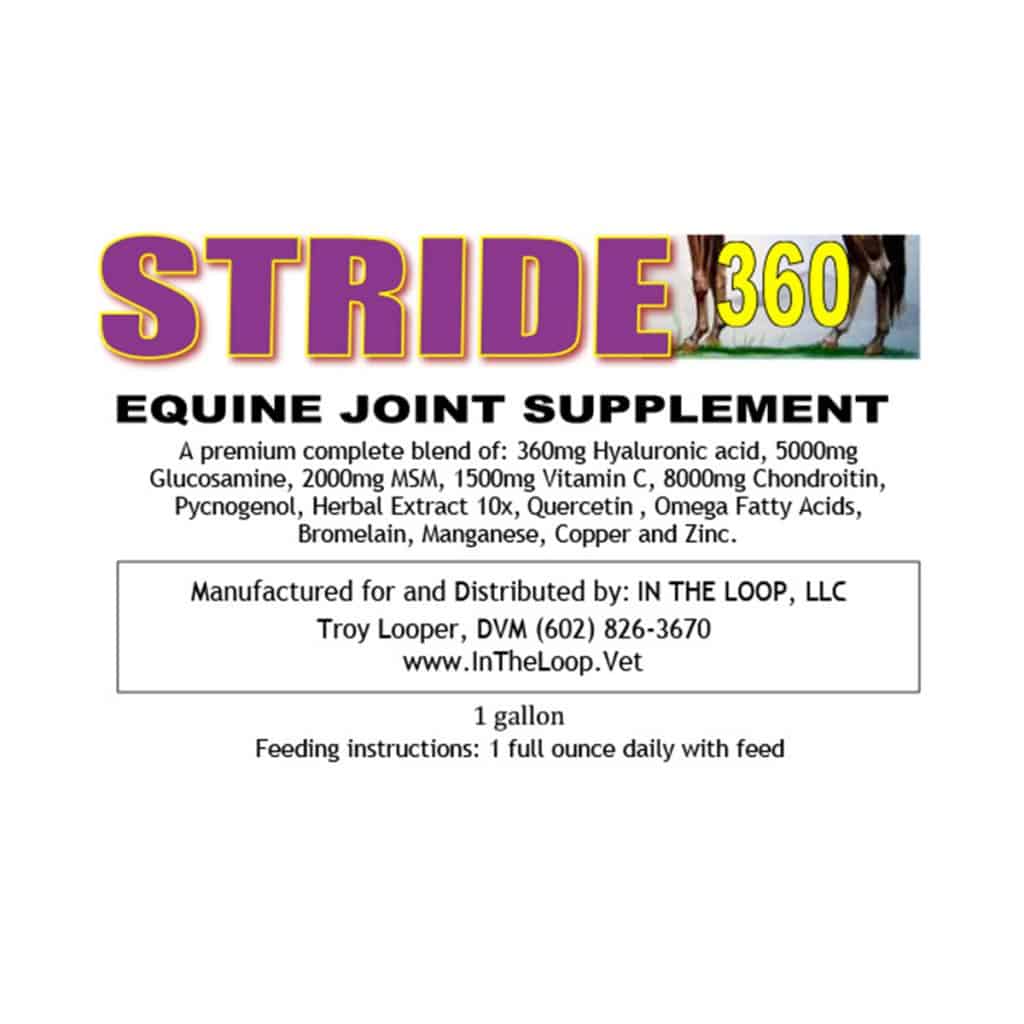 Stride 360 - In The Loop