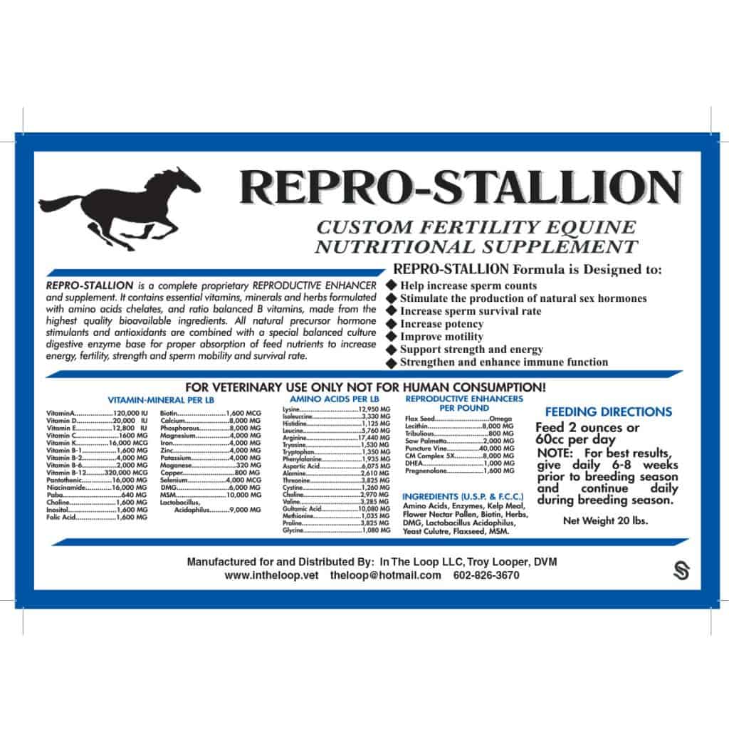 Repro Stallion - In The Loop